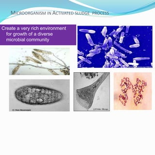 CLASSIFICATION OF SEWAGE TREATMENT | PPTX