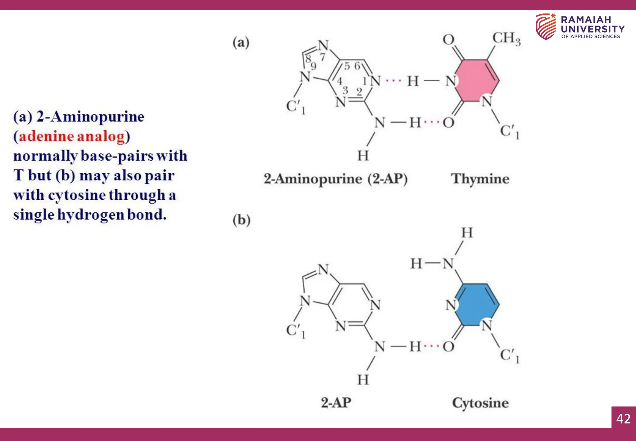 Unit_III_Alterations_in_Genetic_Material - part 1.pdf
