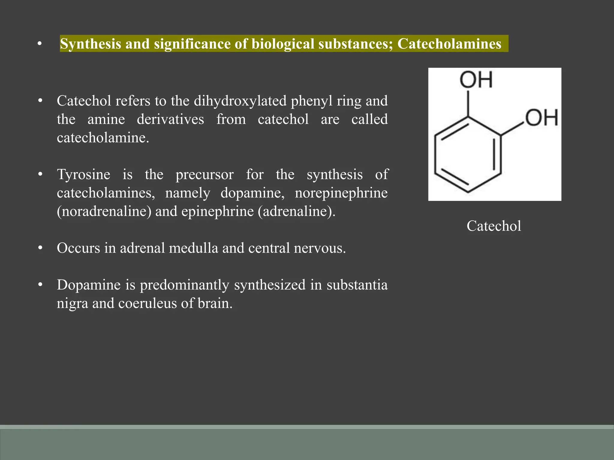 UNIT III_Amino acid Metabolism biochemistry | PPTX