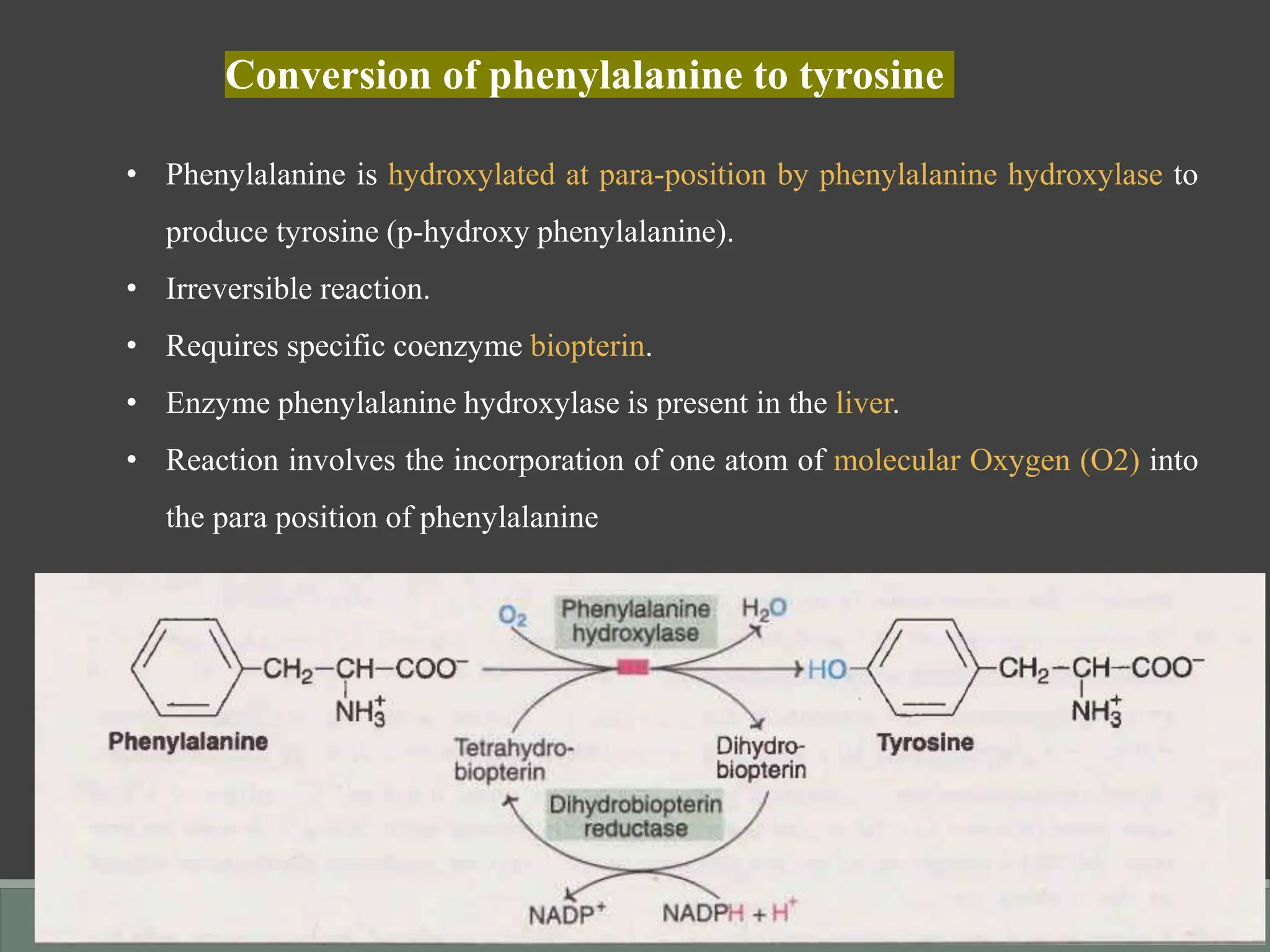 UNIT III_Amino acid Metabolism biochemistry | PPTX