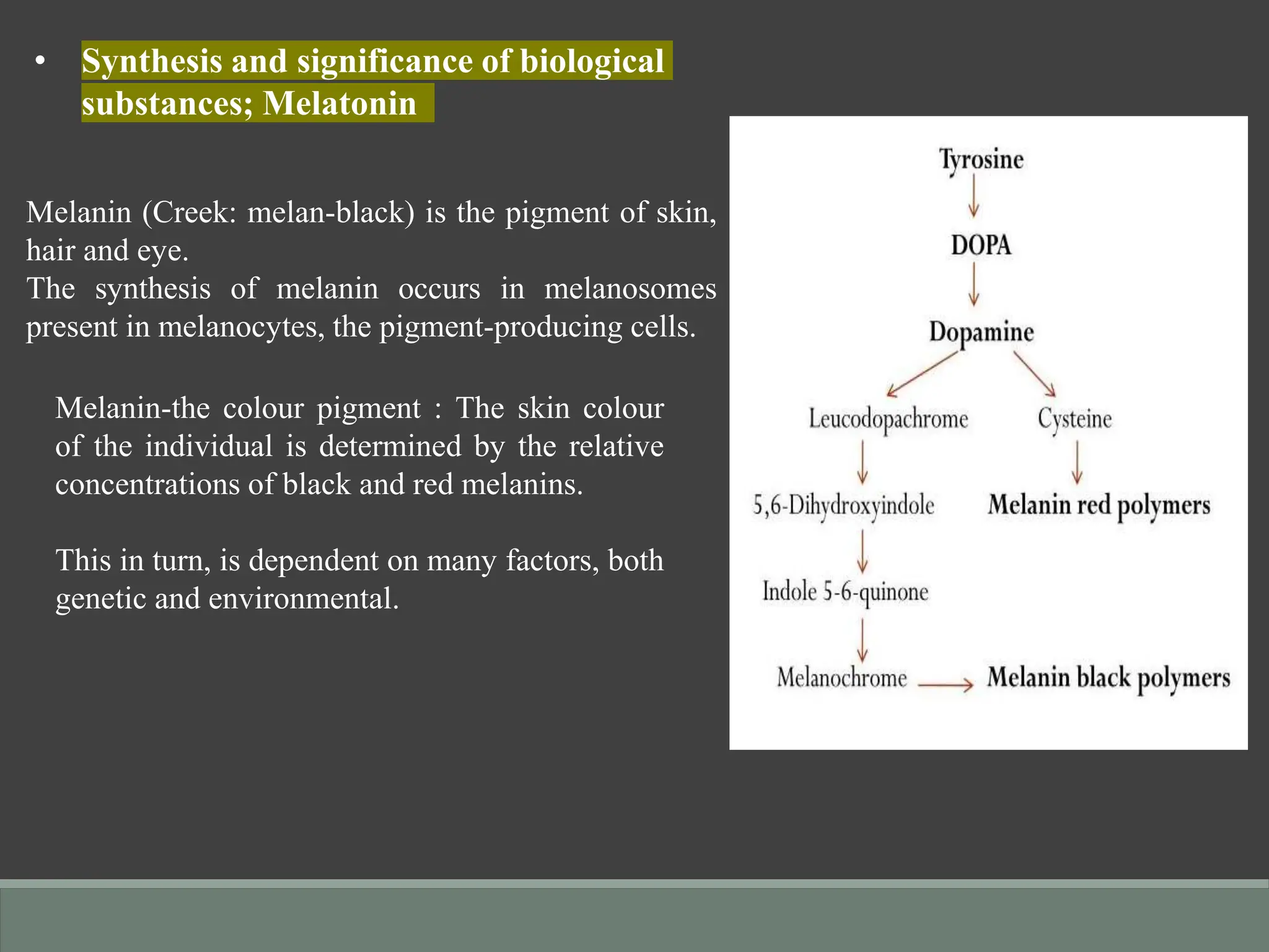 UNIT III_Amino acid Metabolism biochemistry | PPTX