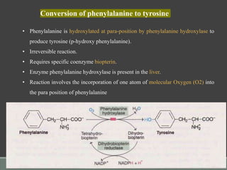 UNIT III_Amino acid Metabolism biochemistry | PPTX