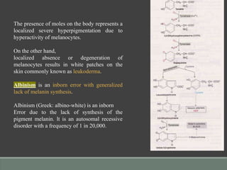 UNIT III_Amino acid Metabolism biochemistry | PPTX