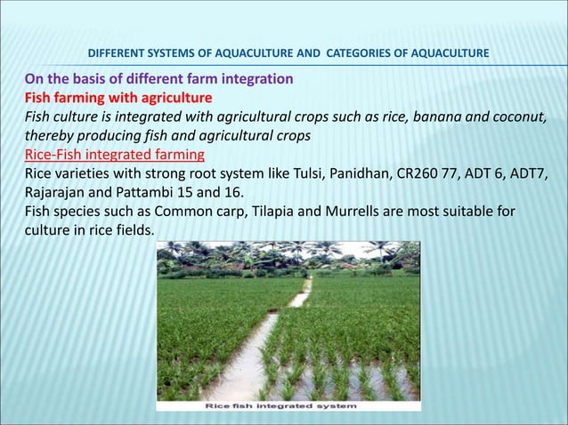 Unit_III_Aquaculture_Systems_methods_and_types.ppt | Agriculture ...
