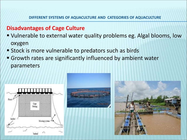 Unit_III_Aquaculture_Systems_methods_and_types.ppt | Agriculture ...