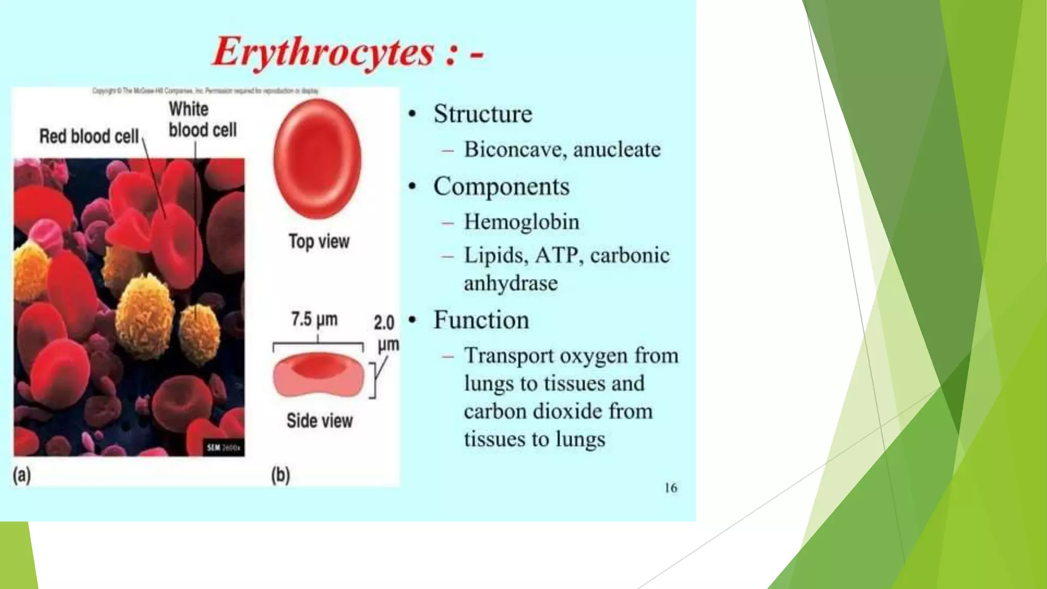 Unit III Body Fluids and Blood.pptx
