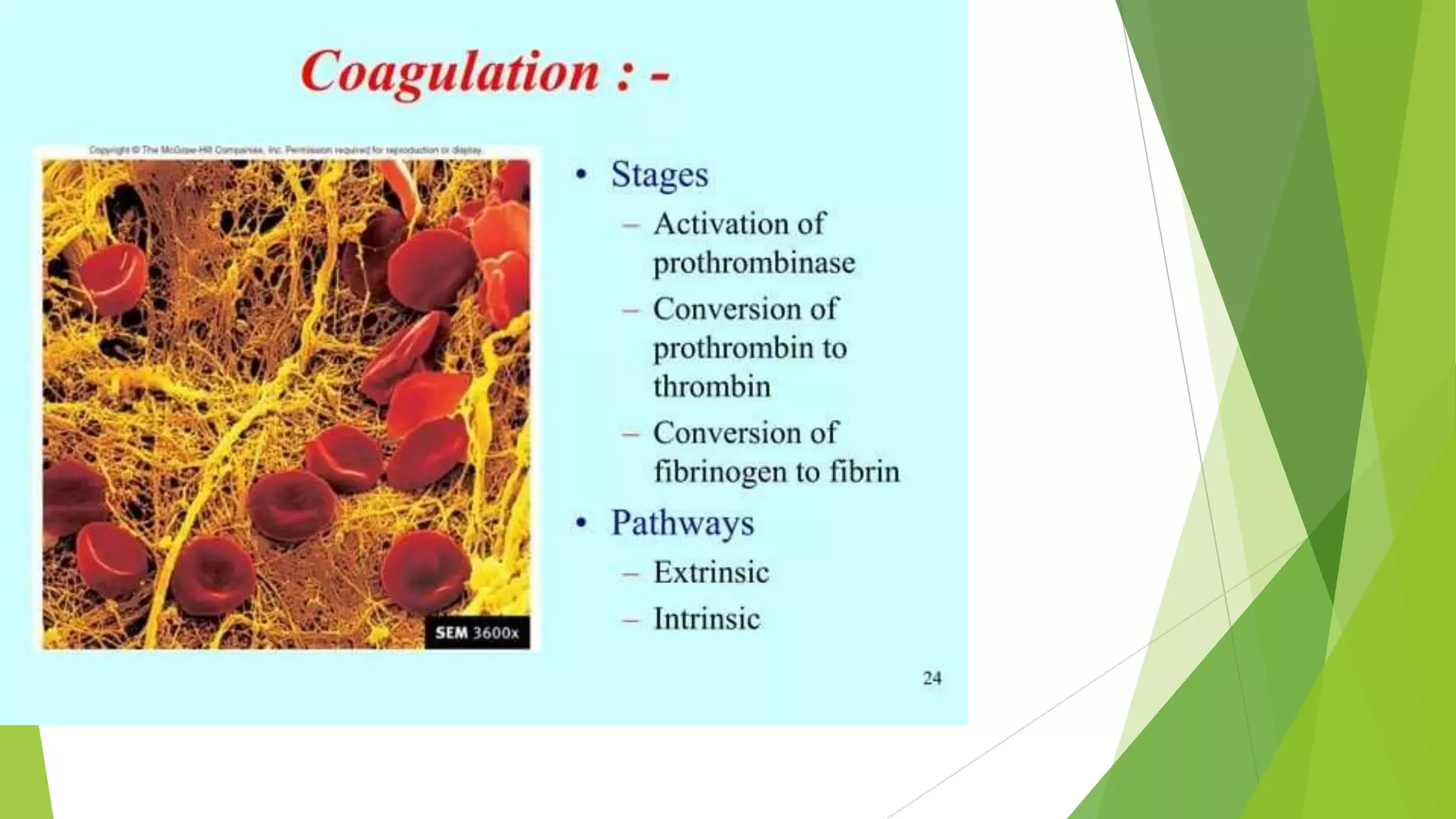 Unit III Body Fluids and Blood.pptx