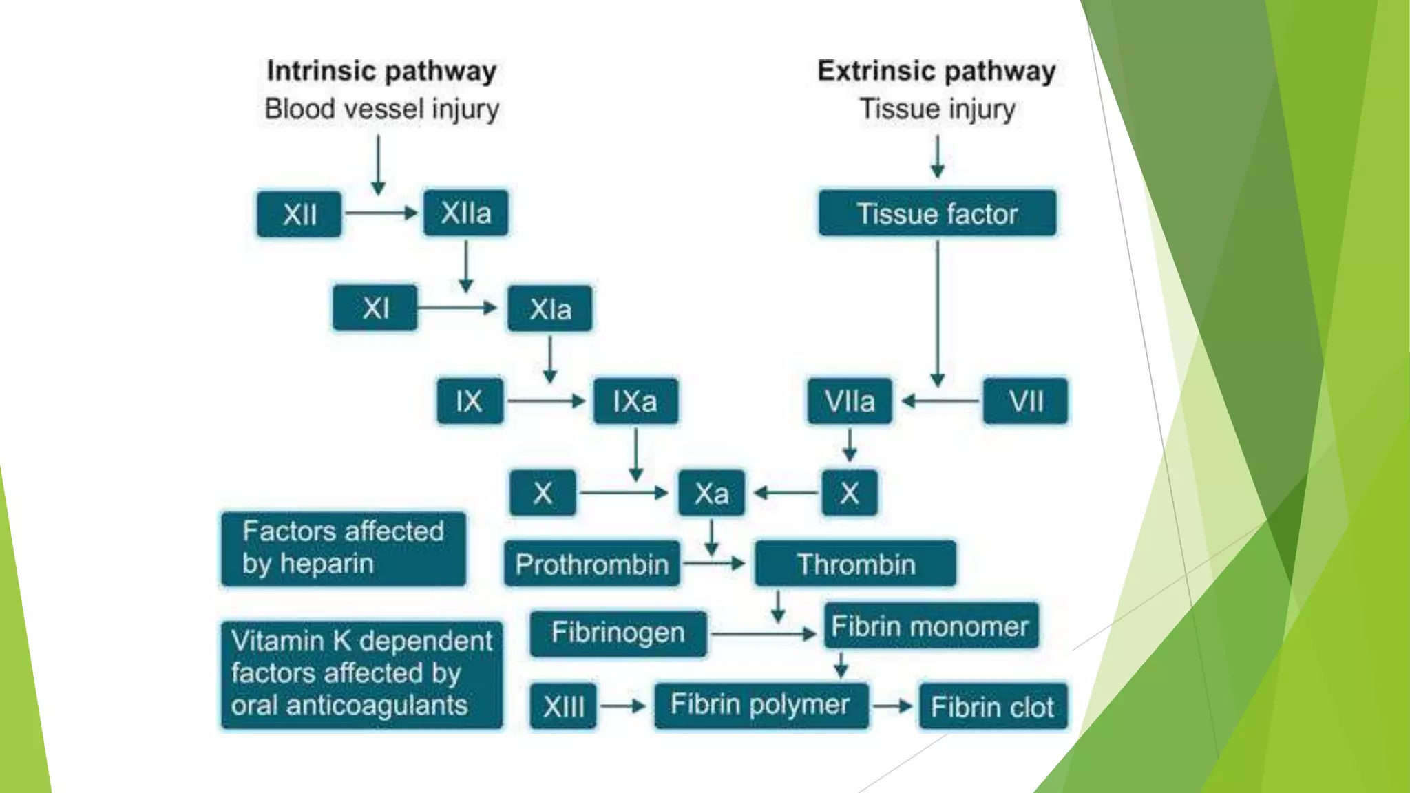 Unit III Body Fluids and Blood.pptx