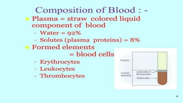 Unit III Body Fluids and Blood.pptx | Biological Sciences | Science