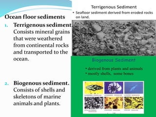 Unit iii chapter 15 (oceanography) | PPTX