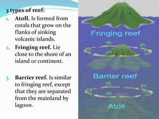 Unit iii chapter 15 (oceanography) | PPTX
