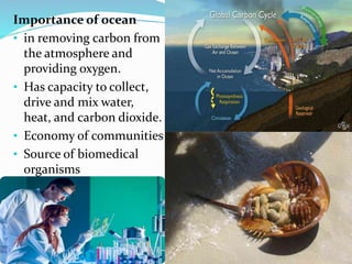 Unit iii chapter 15 (oceanography) | PPTX