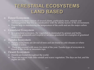 Unit III Ecosystems for BBA MT EM 1.pptx