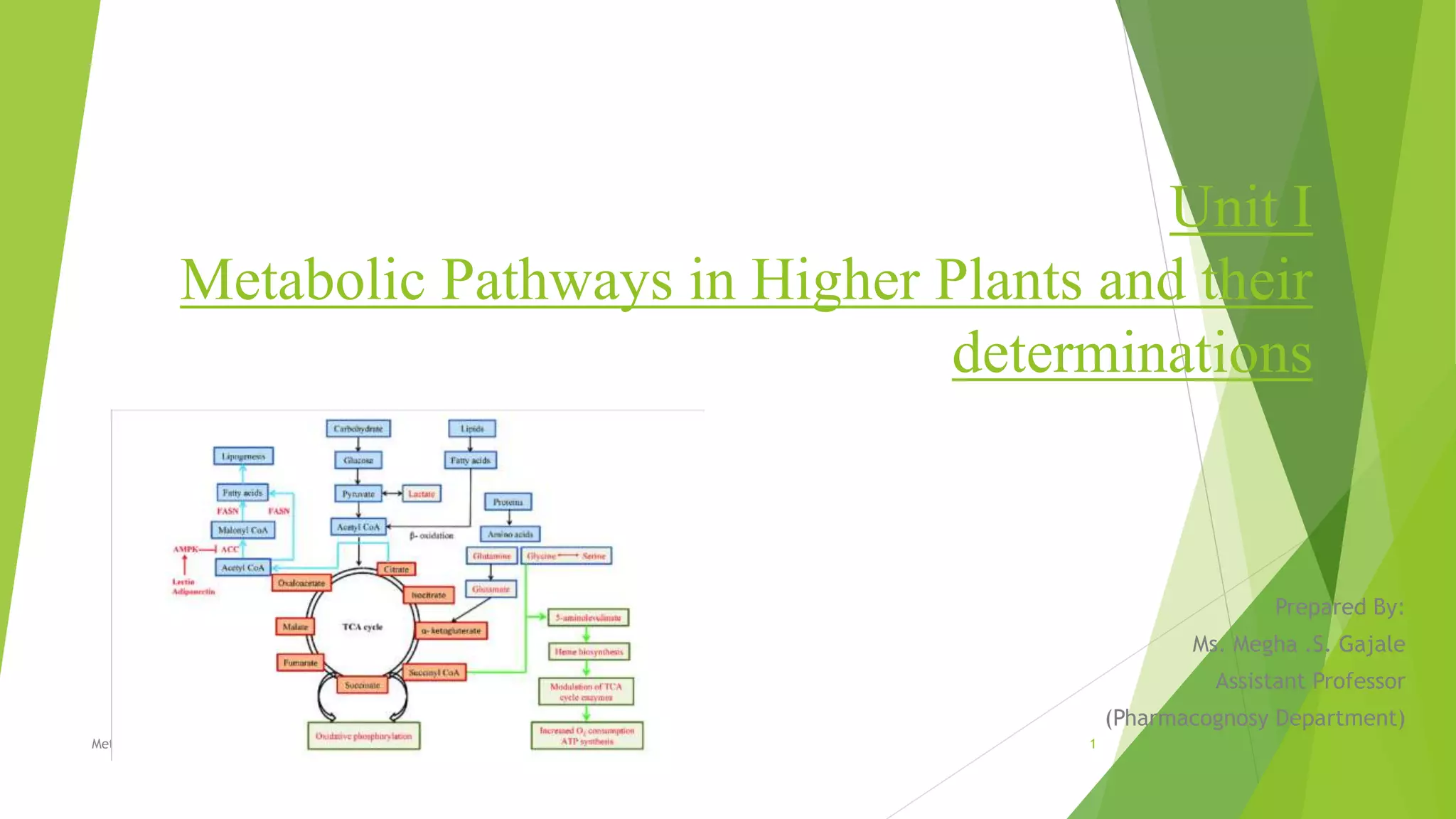 Metabolic Pathways in Higher Plants and their Metabolism | PPTX