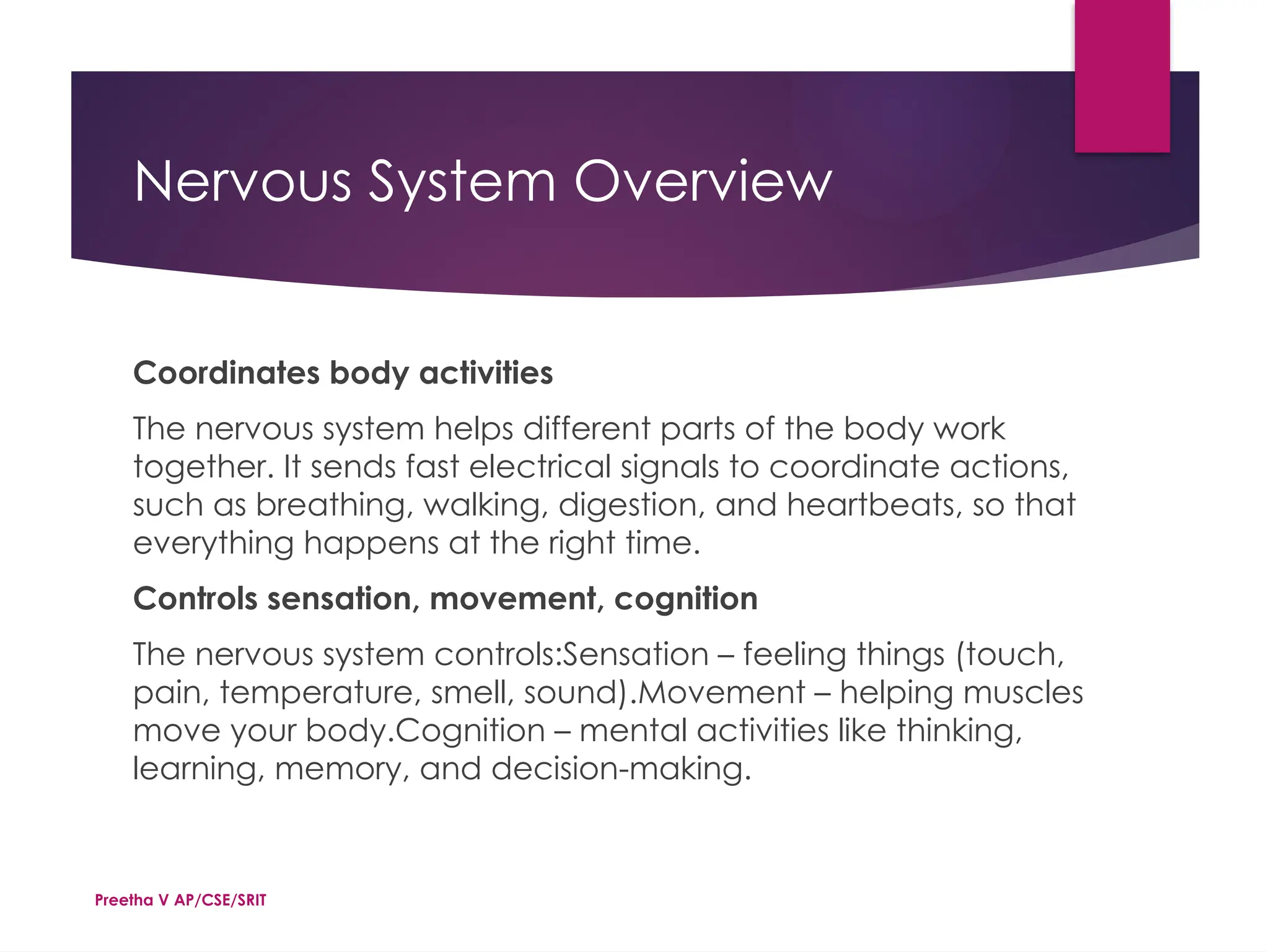 Bio Inspired Computing - Nervous System-Components of Human Nervous ...