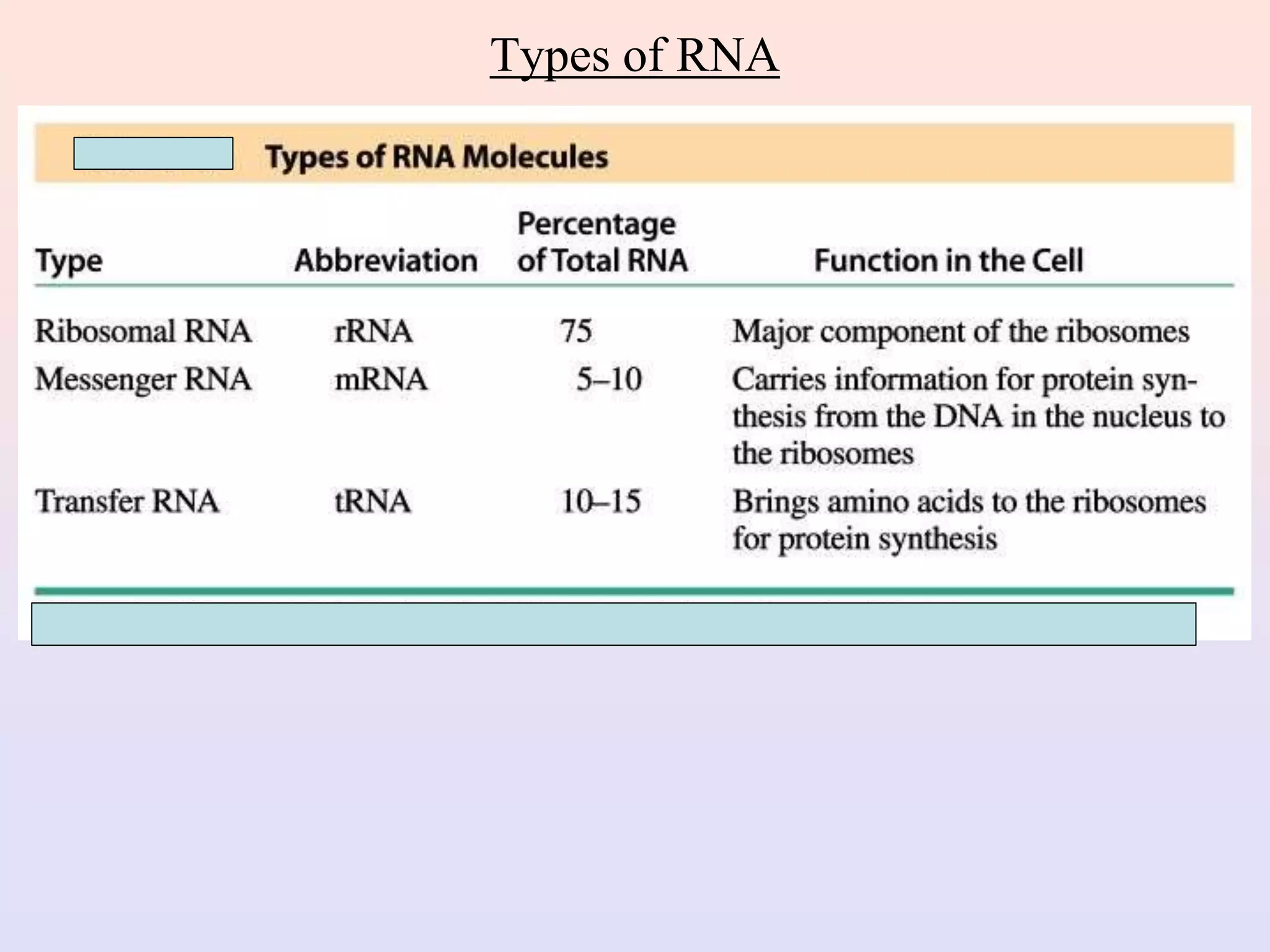 Unit III (Nucleic acid and genetic code).ppt