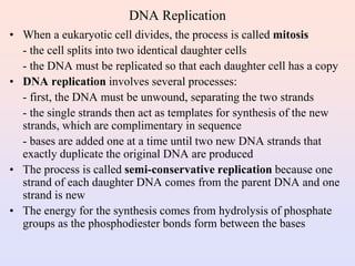 Unit III (Nucleic acid and genetic code).ppt
