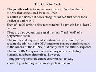 Unit III (Nucleic acid and genetic code).ppt