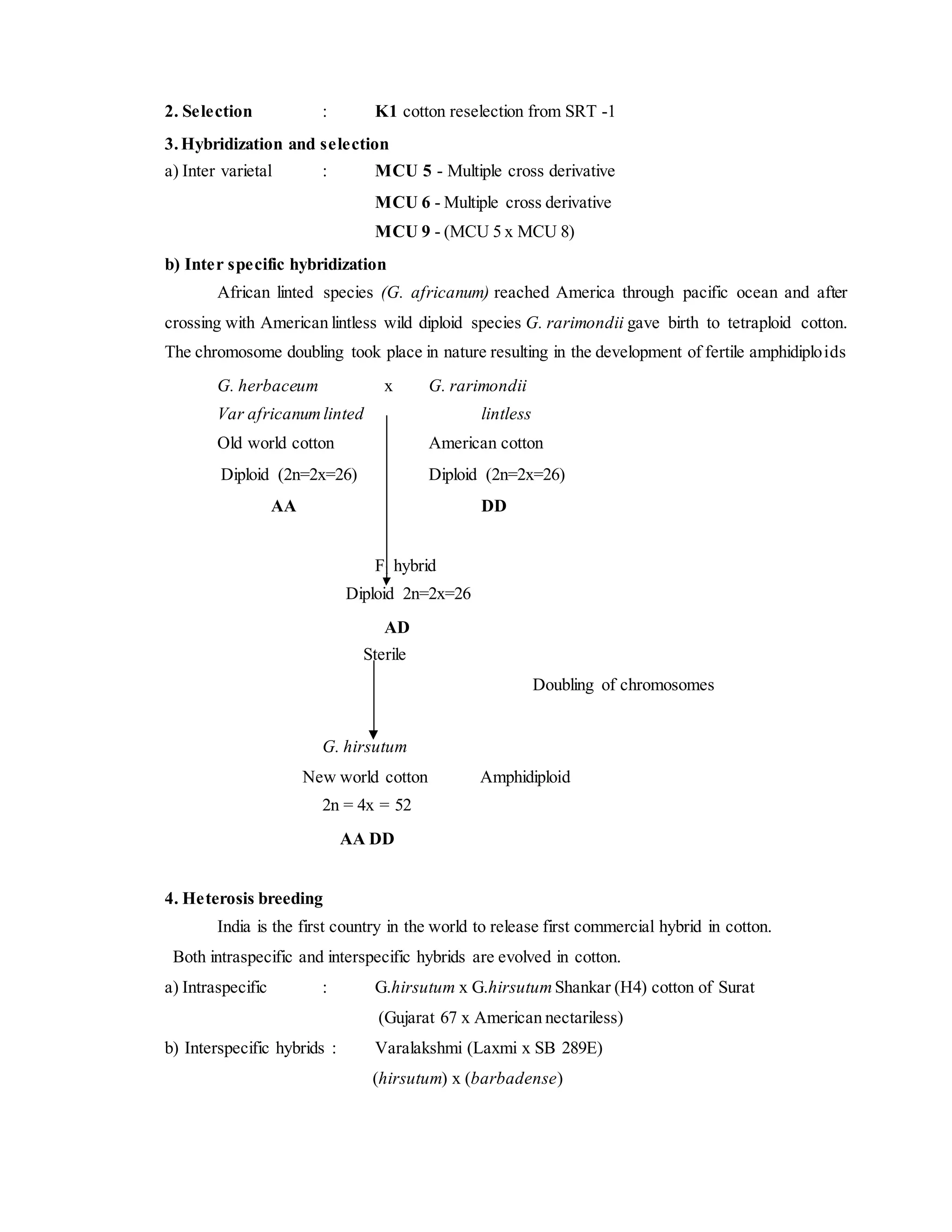 origin of cotton | DOCX