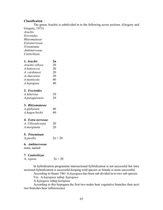 origin of ground nut | PDF