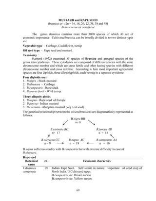 origin of sesame | PDF