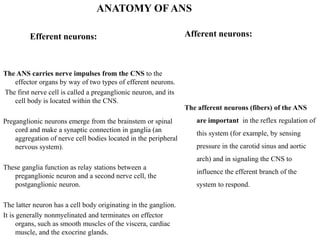 ORGANSATION & FUNCTIONS OF ANS | PPTX