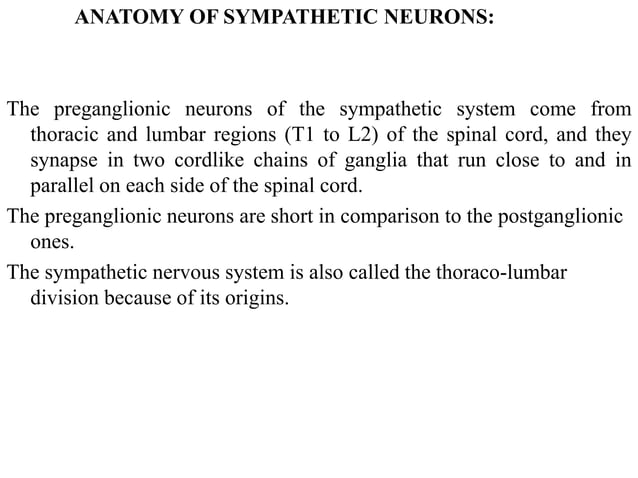 ORGANSATION & FUNCTIONS OF ANS | PPTX