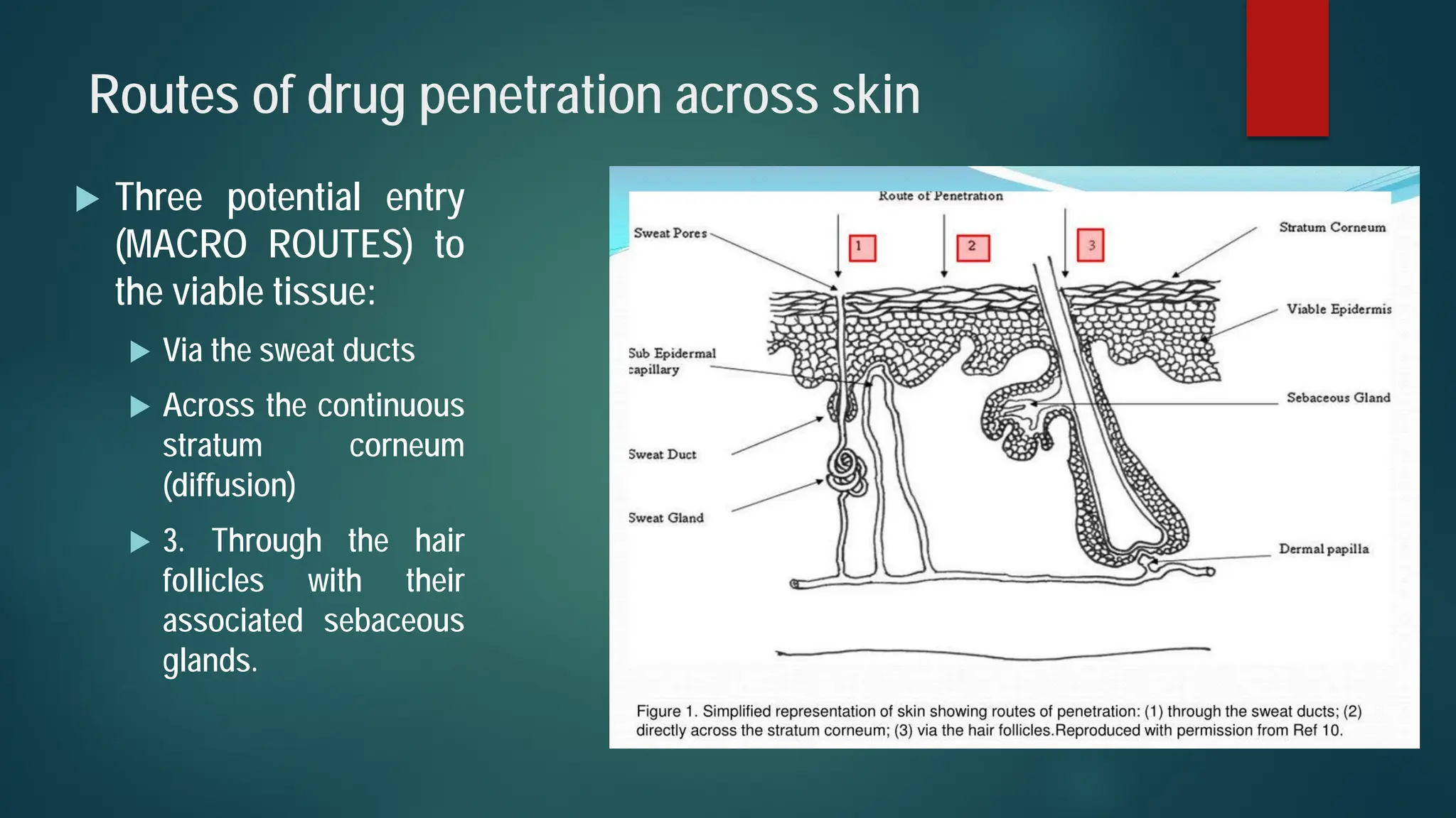 Unit III_Transdermal DDS.pdf