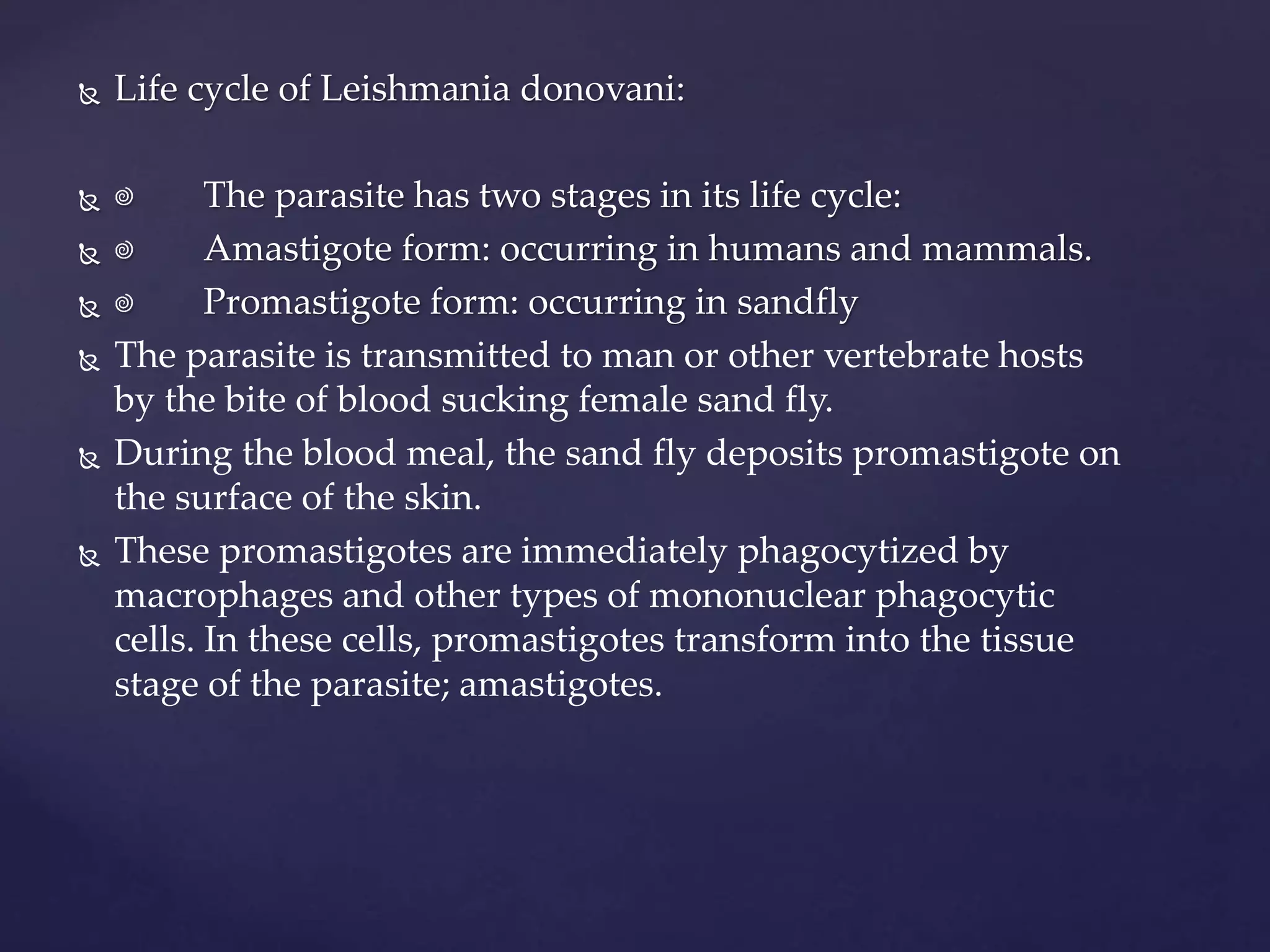 UNIT II LIFE CYCLE OF LEISHMANIA BIOL 307 (2).pptx