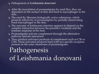 UNIT II LIFE CYCLE OF LEISHMANIA BIOL 307 (2).pptx