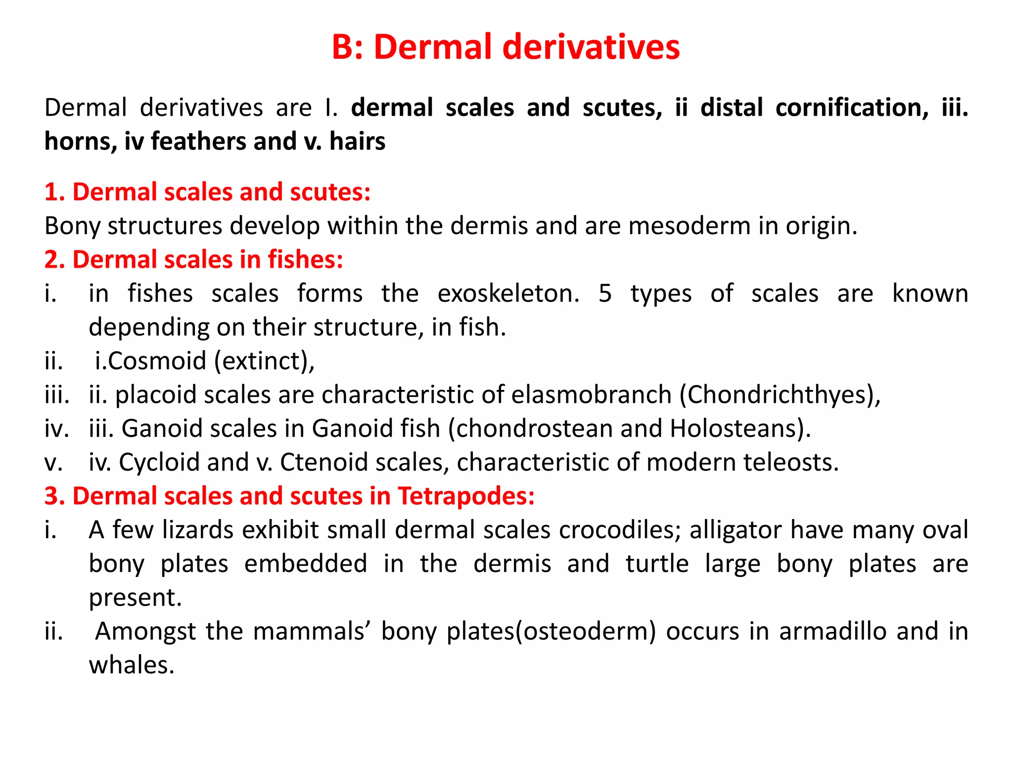 Unit I Integumentary system-Skin.pptx