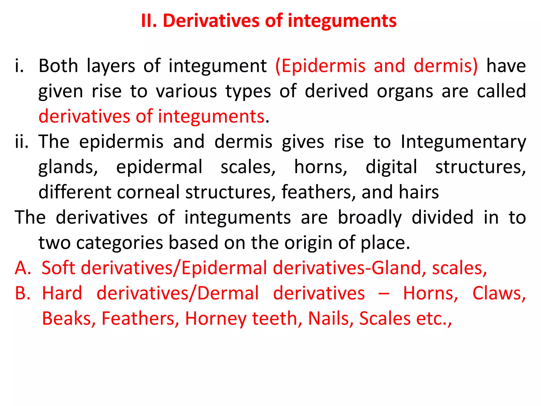 Unit I Integumentary system-Skin.pptx