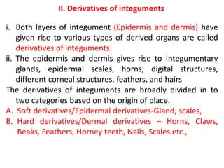Unit I Integumentary system-Skin.pptx