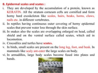 Unit I Integumentary system-Skin.pptx