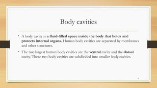 Comprehensive Introduction to Human Anatomy and Physiology | PPTX