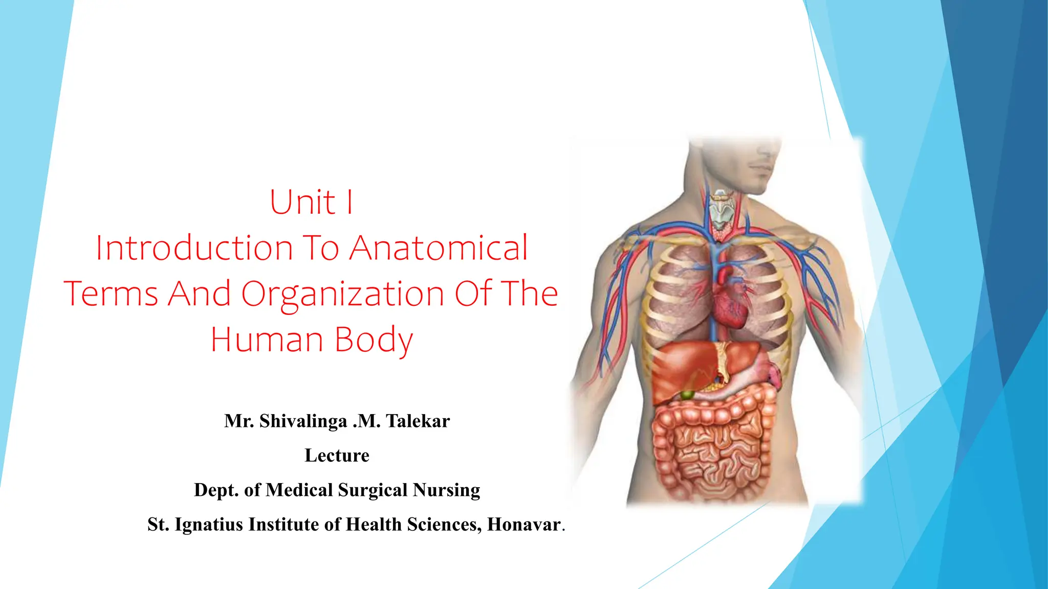 Unit I Introduction To Anatomical Terms And Organization Of The Human ...