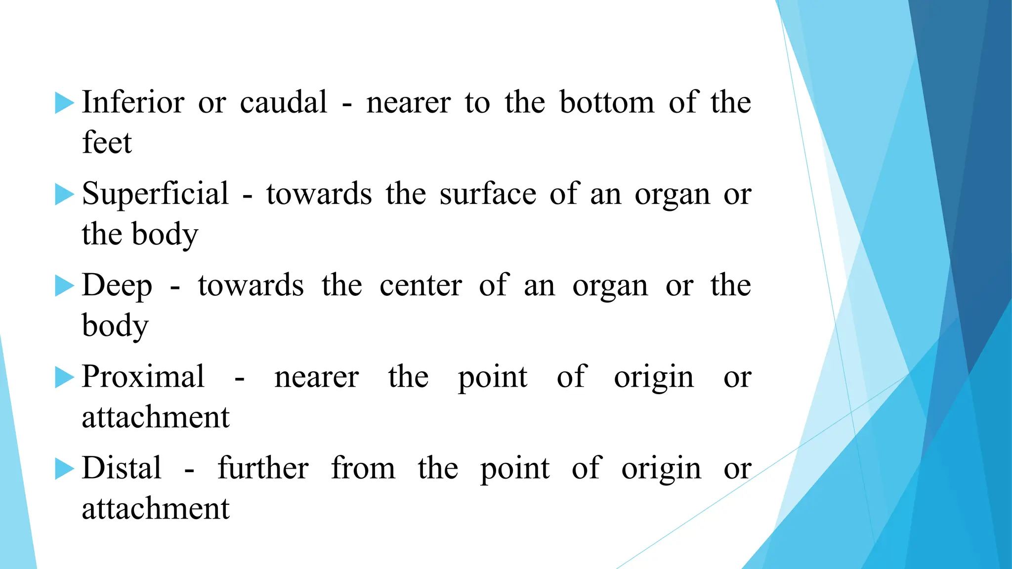 Unit I Introduction To Anatomical Terms And Organization Of The Human ...