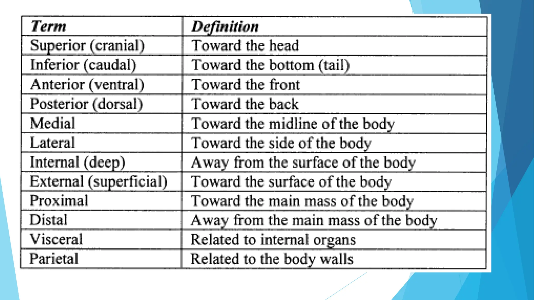 Unit I Introduction To Anatomical Terms And Organization Of The Human ...