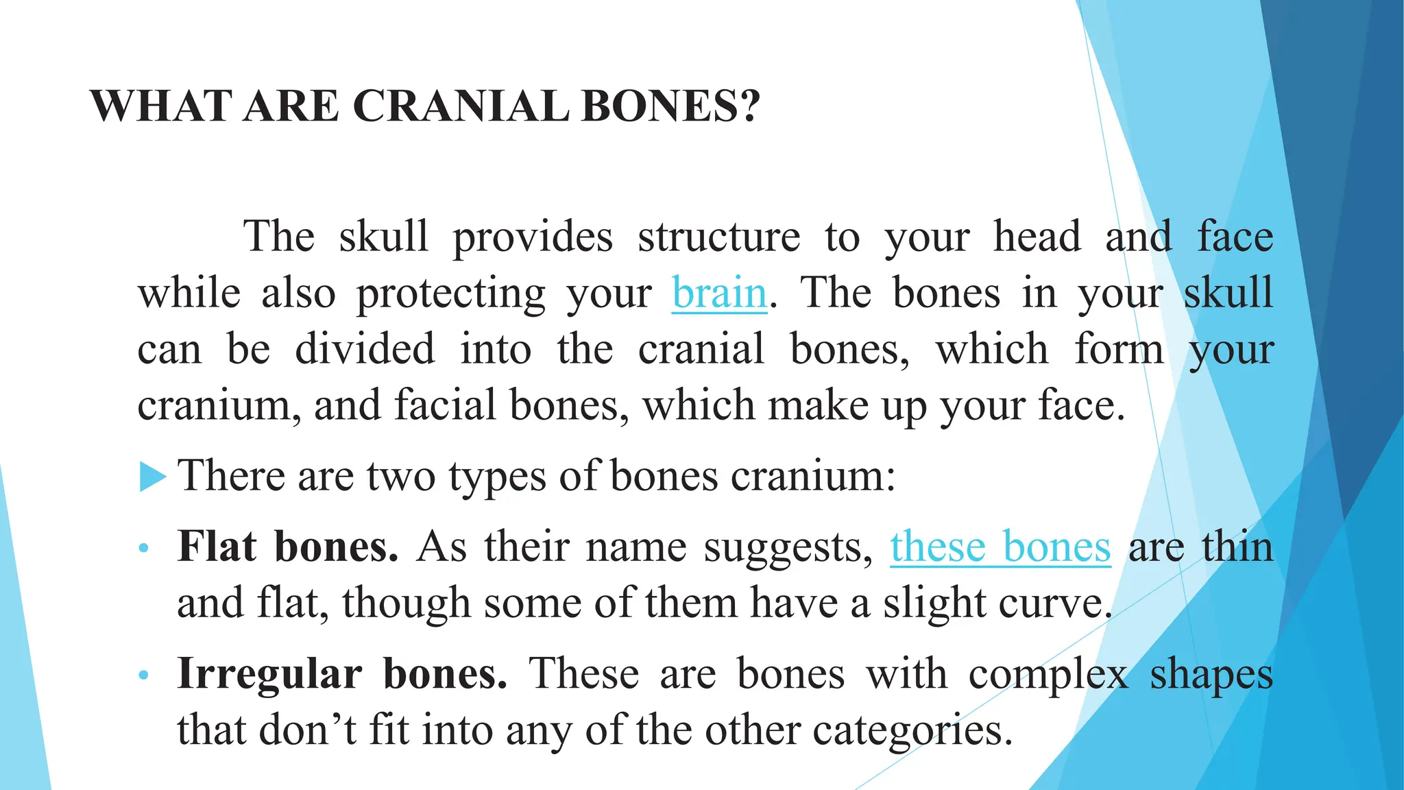 Unit I Introduction To Anatomical Terms And Organization Of The Human ...