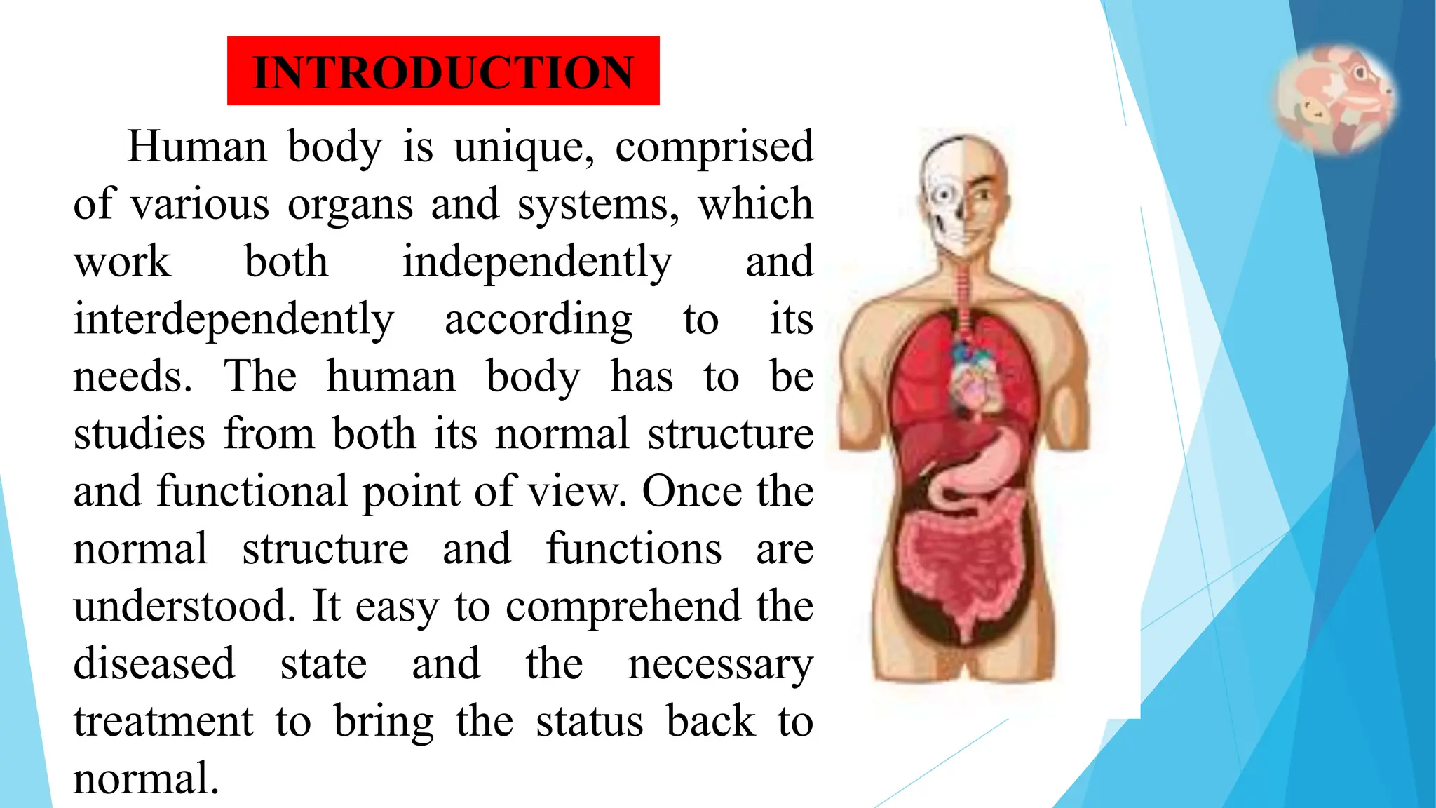 Unit I Introduction To Anatomical Terms And Organization Of The Human ...