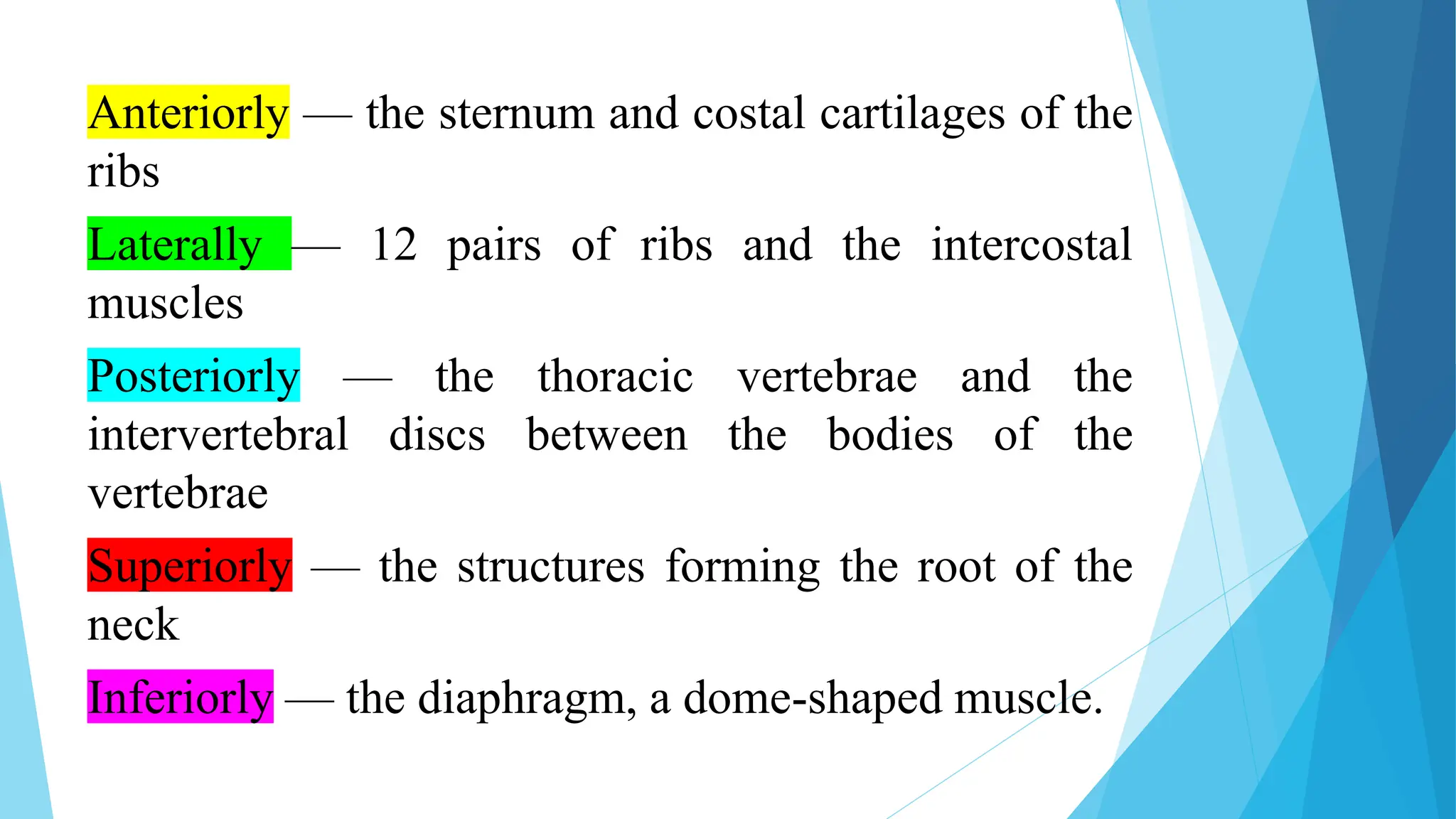 Unit I Introduction To Anatomical Terms And Organization Of The Human ...