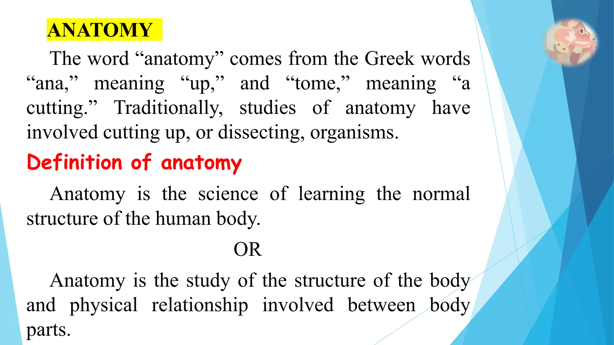Unit I Introduction To Anatomical Terms And Organization Of The Human ...