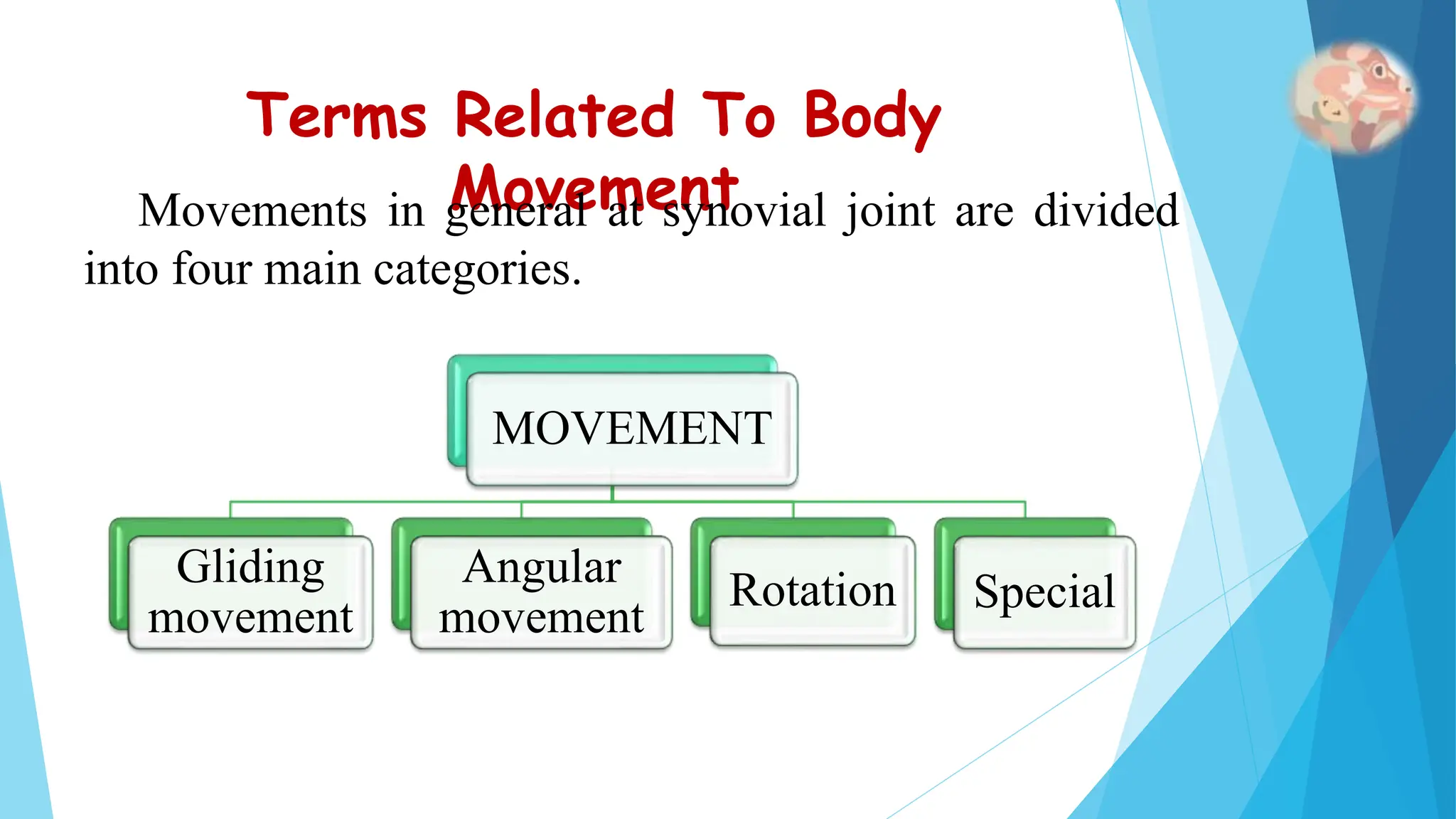 Unit I Introduction To Anatomical Terms And Organization Of The Human ...