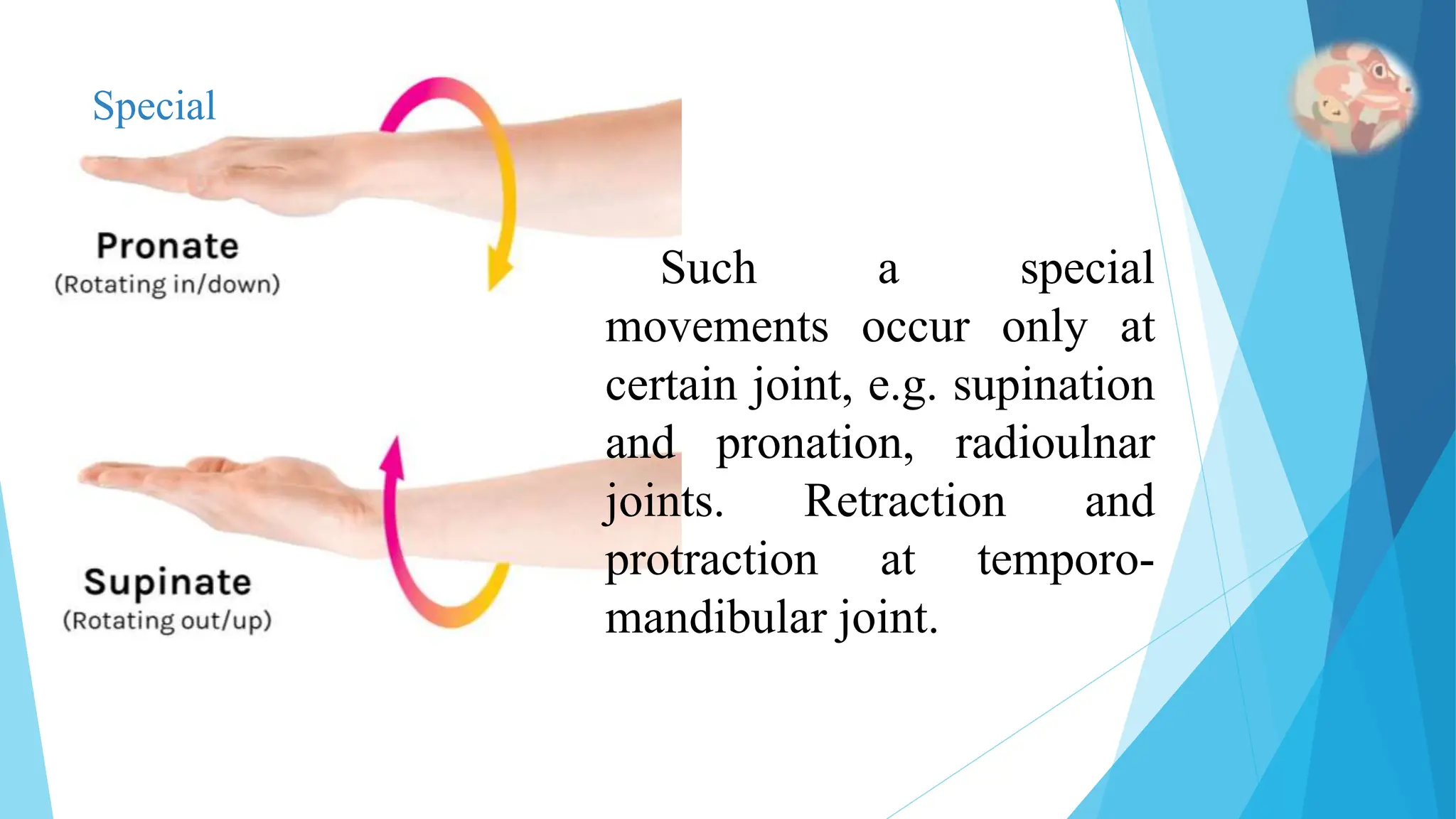 Unit I Introduction To Anatomical Terms And Organization Of The Human ...