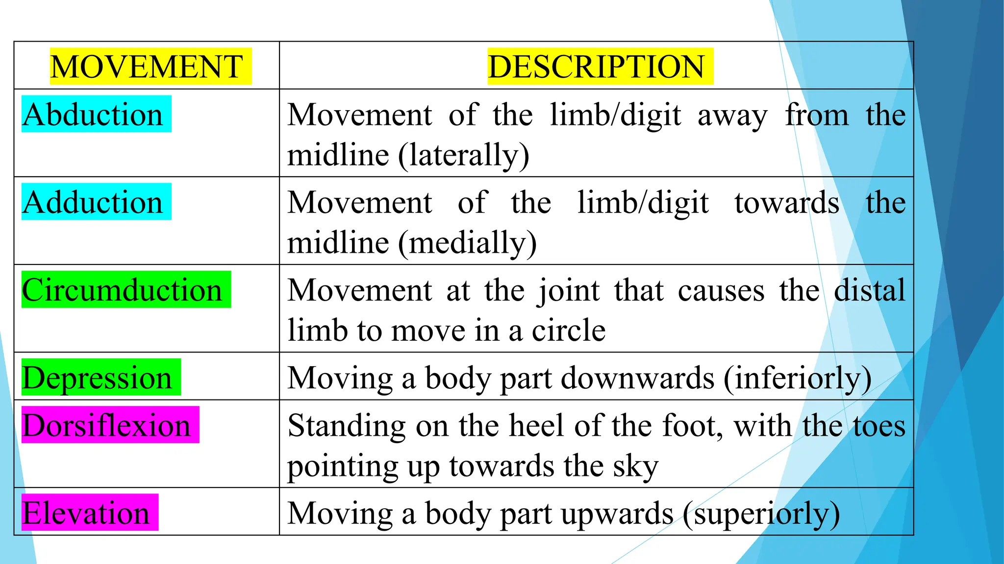 Unit I Introduction To Anatomical Terms And Organization Of The Human ...