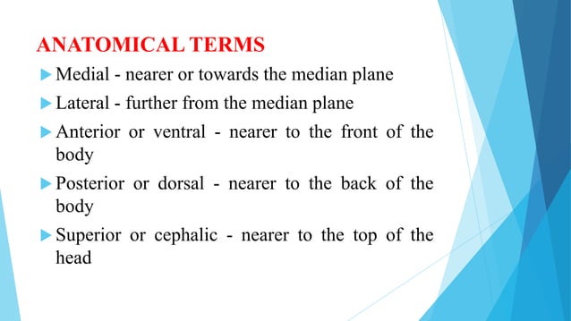 Unit I Introduction To Anatomical Terms And Organization Of The Human ...
