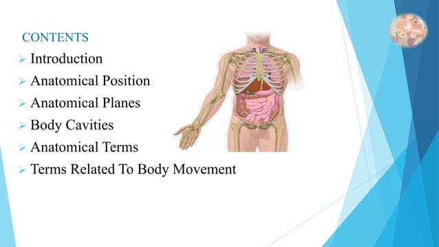 Unit I Introduction To Anatomical Terms And Organization Of The Human ...
