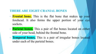 Unit I Introduction To Anatomical Terms And Organization Of The Human ...