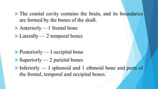 Unit I Introduction To Anatomical Terms And Organization Of The Human ...