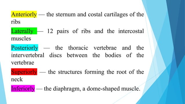 Unit I Introduction To Anatomical Terms And Organization Of The Human ...